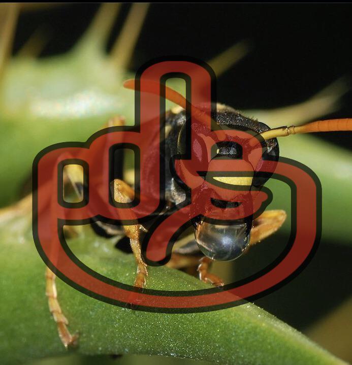 Petition for this to be the new icon for this sub! | Scrolller