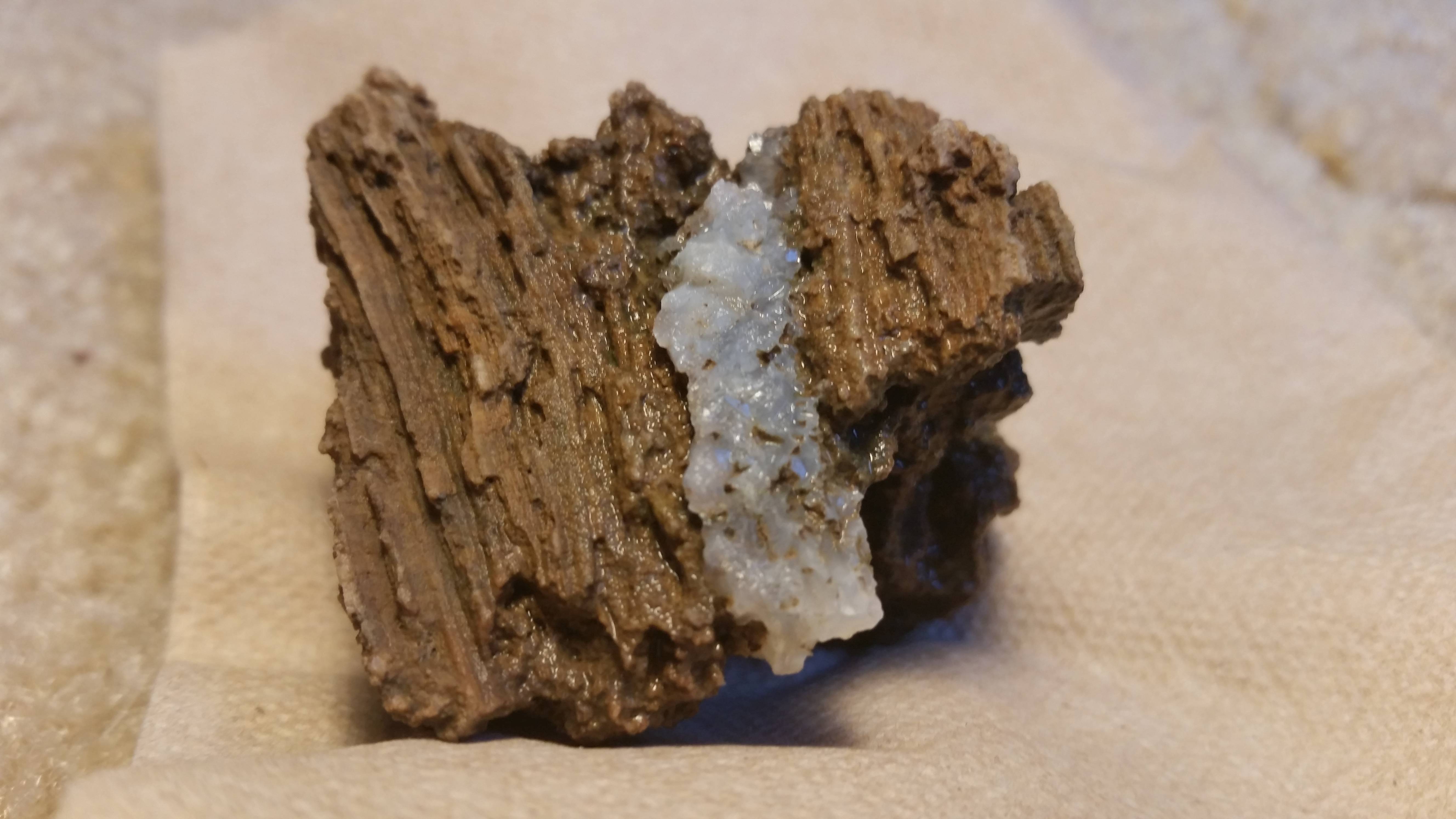 Petrified wood with quartz vein (Middle Tennessee ) | Scrolller