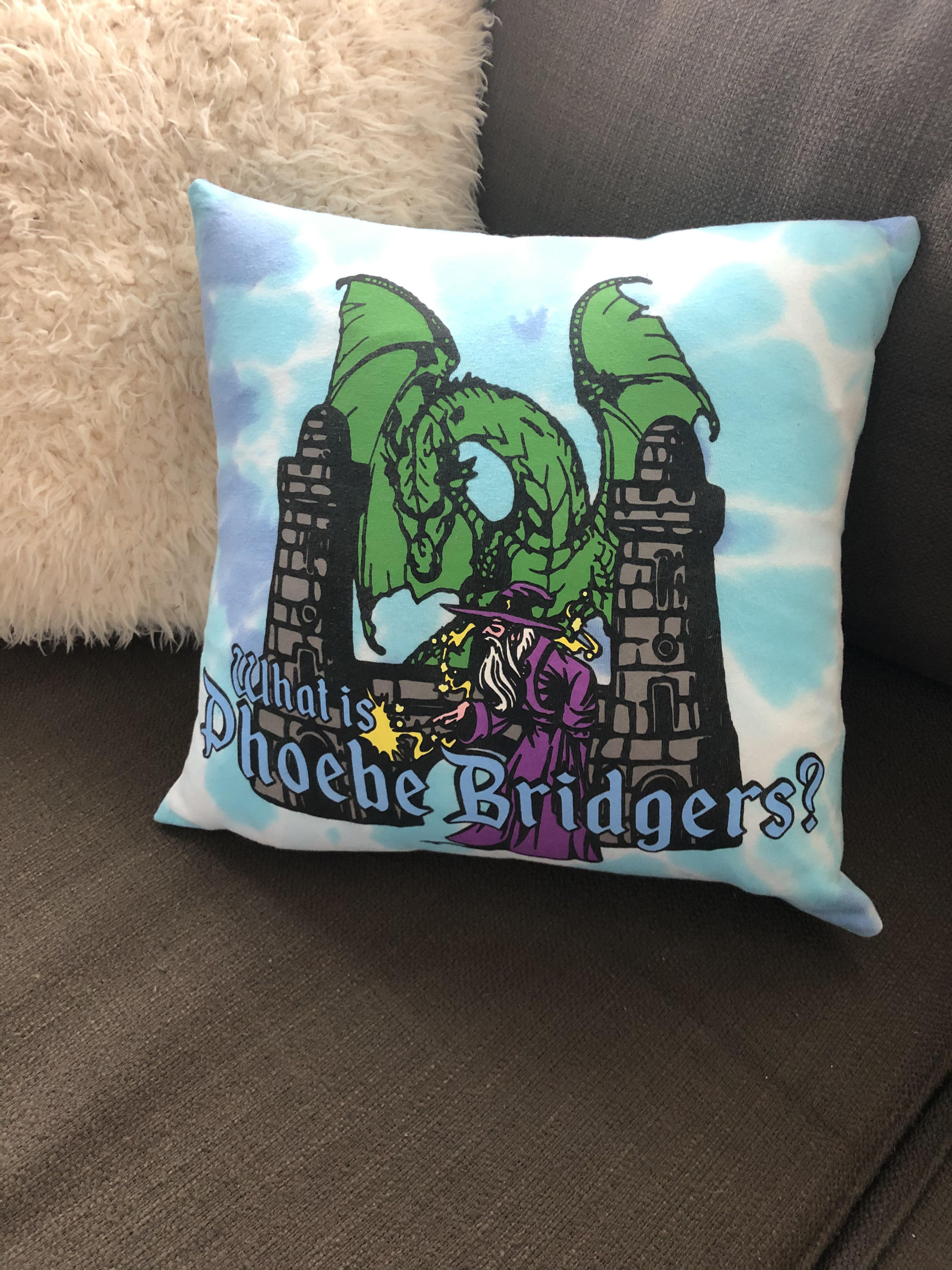 Phoebe Bridgers pillow? | Scrolller