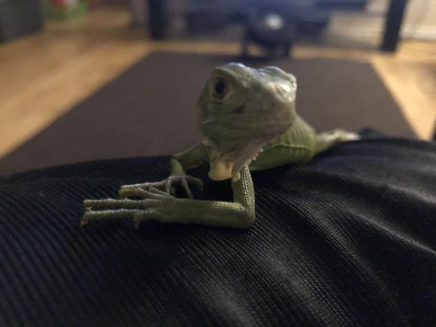 photogenic Innit? | Scrolller