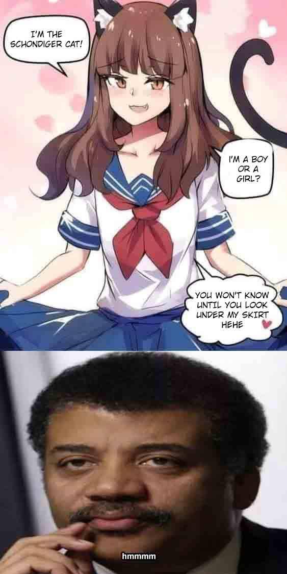 Physics is hard | Scrolller