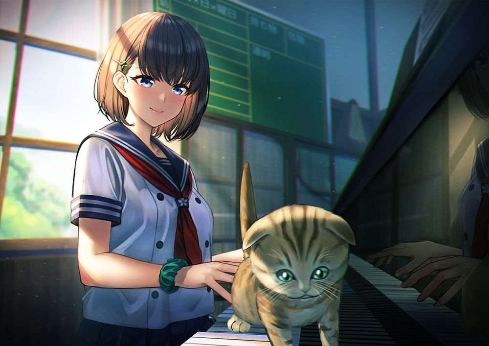 Piano kitty | Scrolller