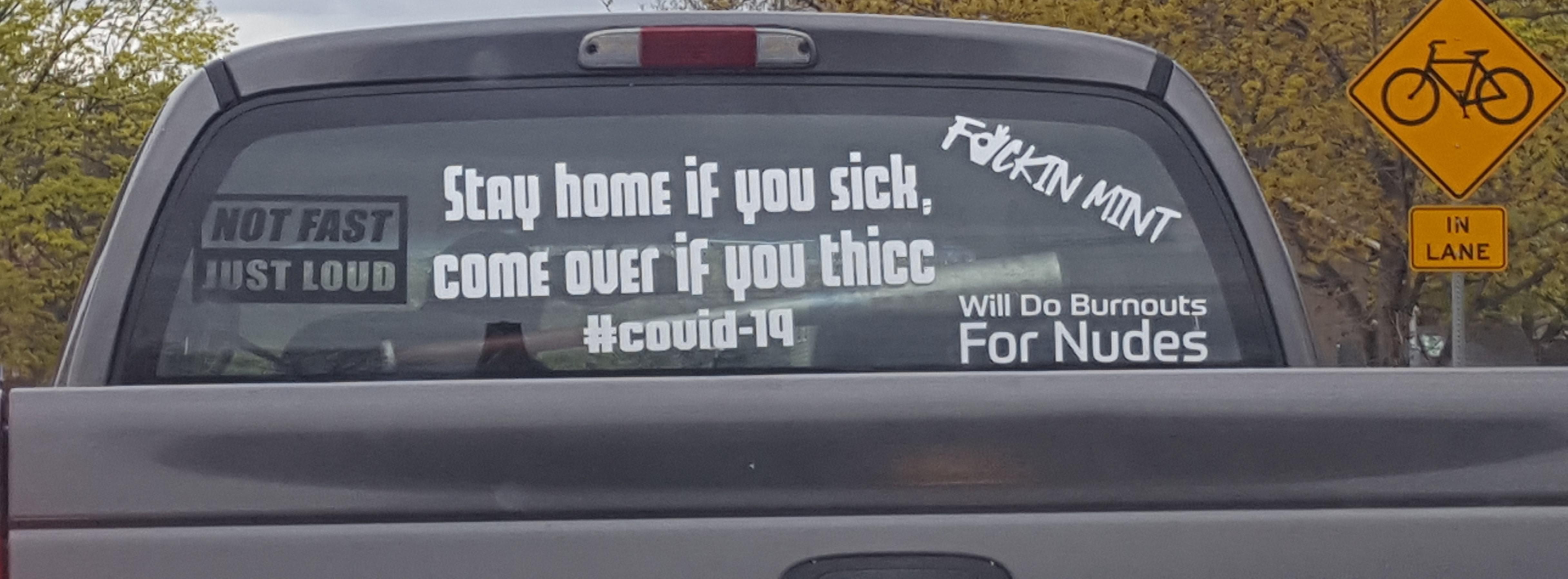 Pick 'em up truck | Scrolller