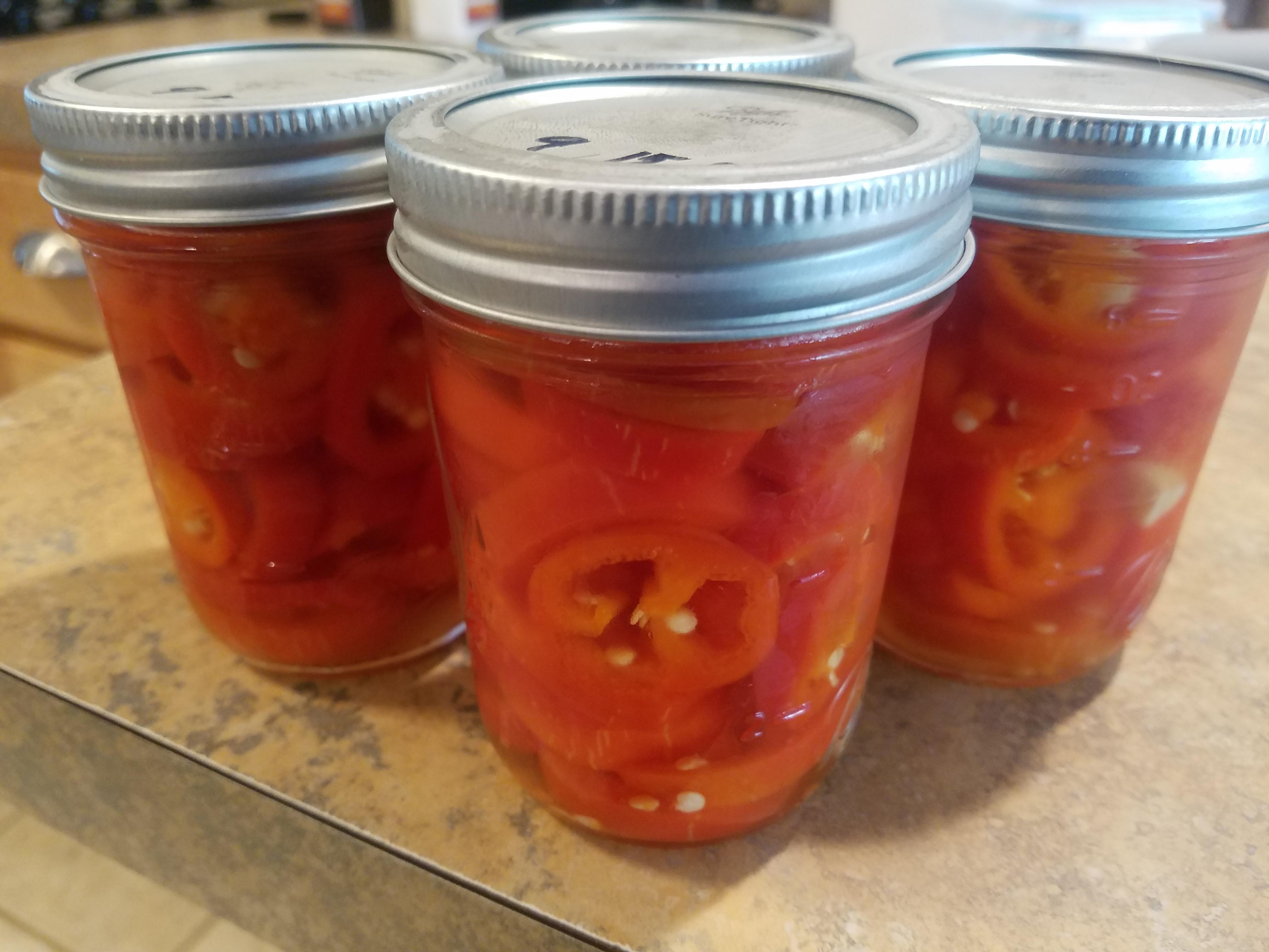 Pickled fresh picked jalapeños | Scrolller