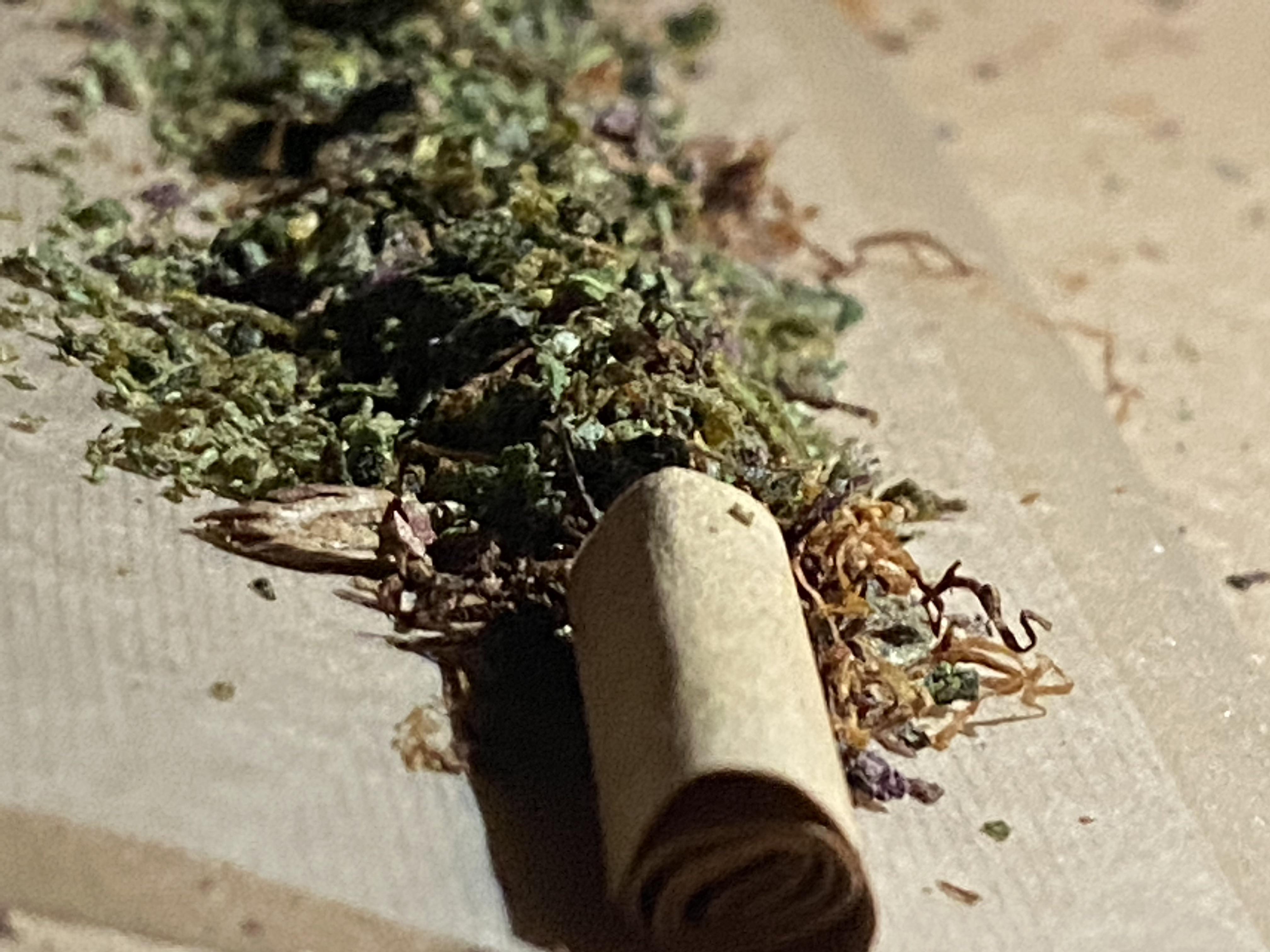 Pine tree 🥰 | Scrolller