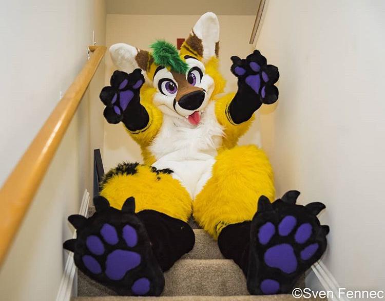Pineapple paws and hugs! Suiter: Pineapple Fox | Scrolller