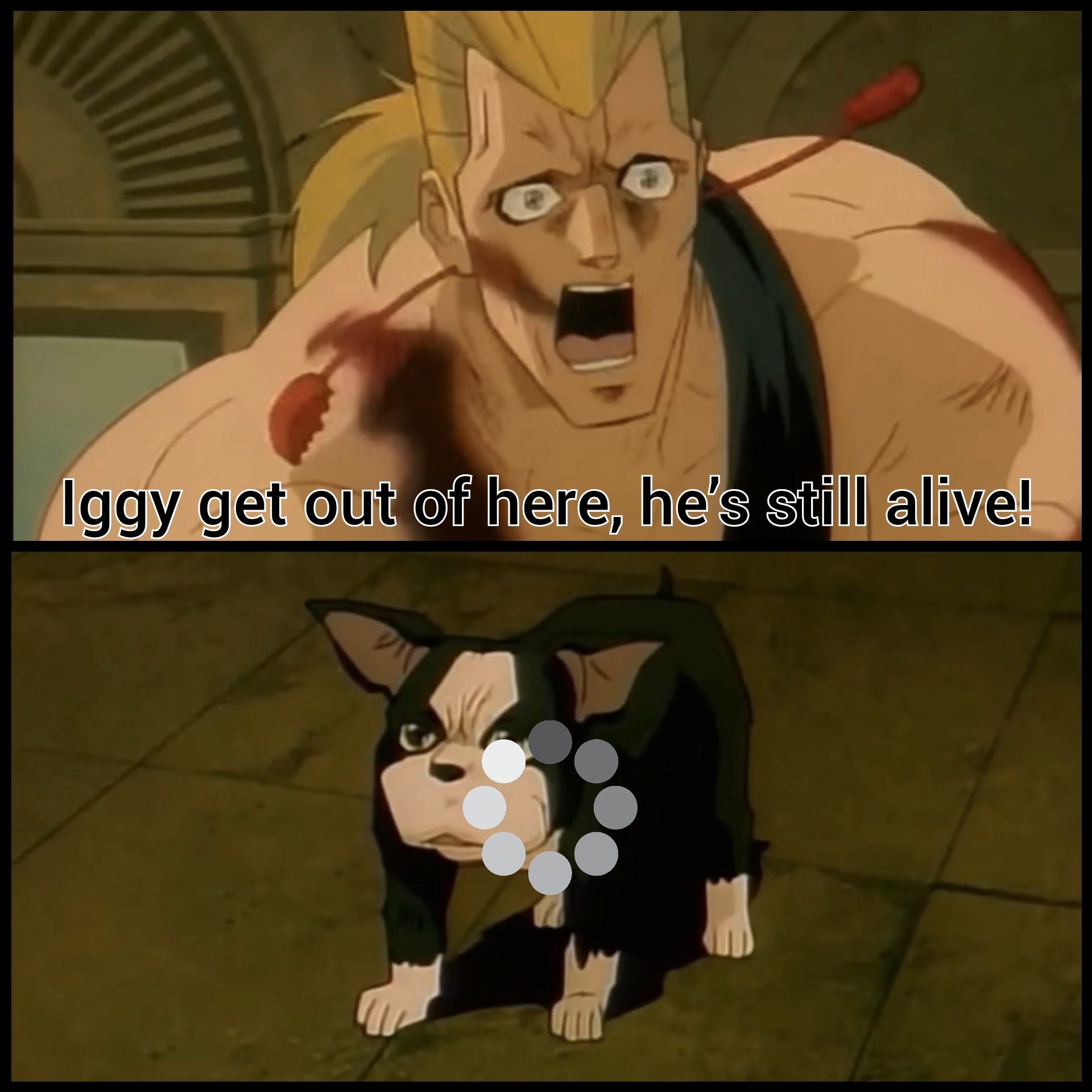 Ping 999+ | Scrolller