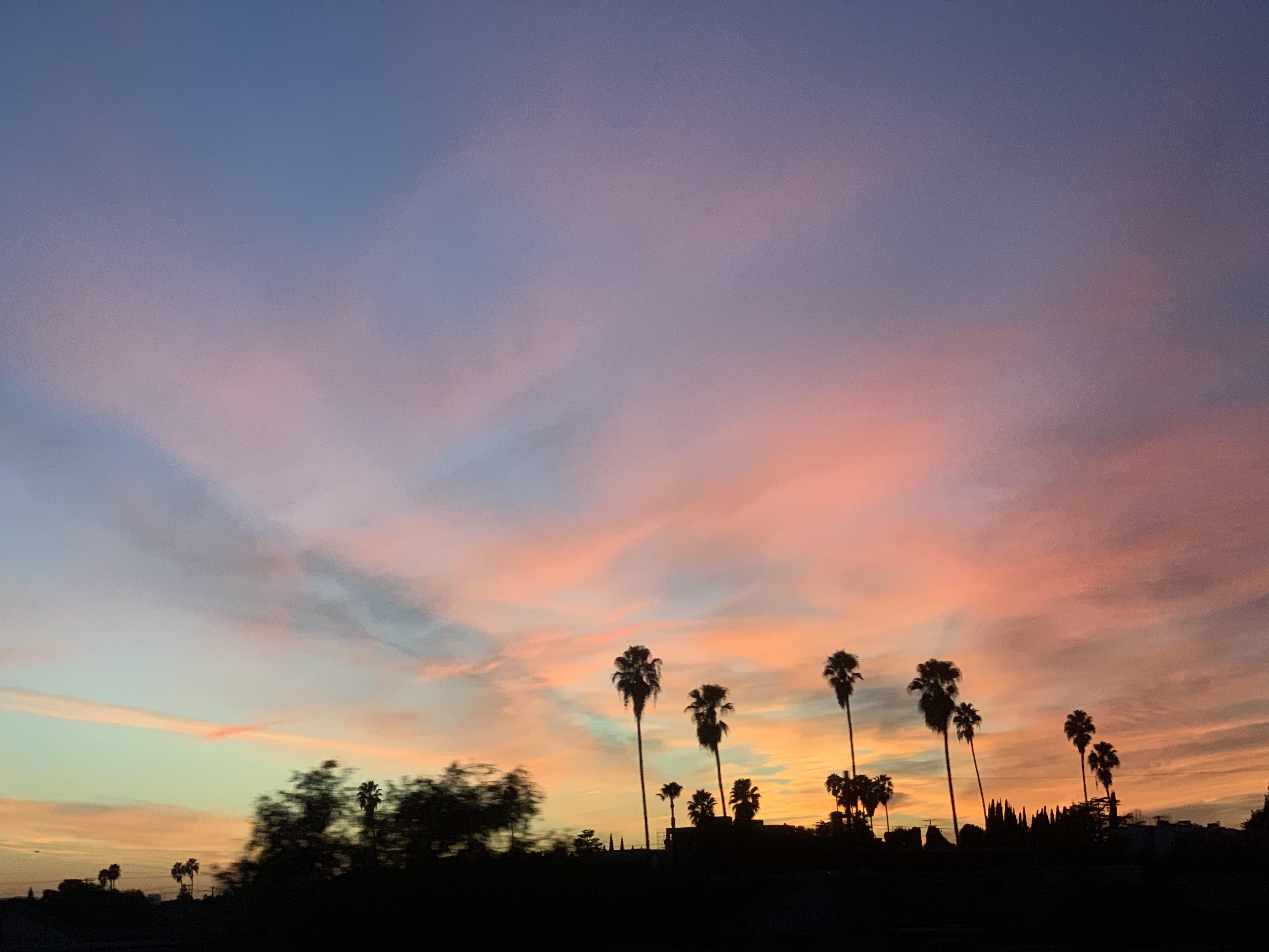 pink skies and palm trees 🌴 | Scrolller