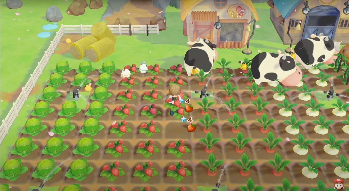 Pioneers of Olive Town Farm Layout | Scrolller