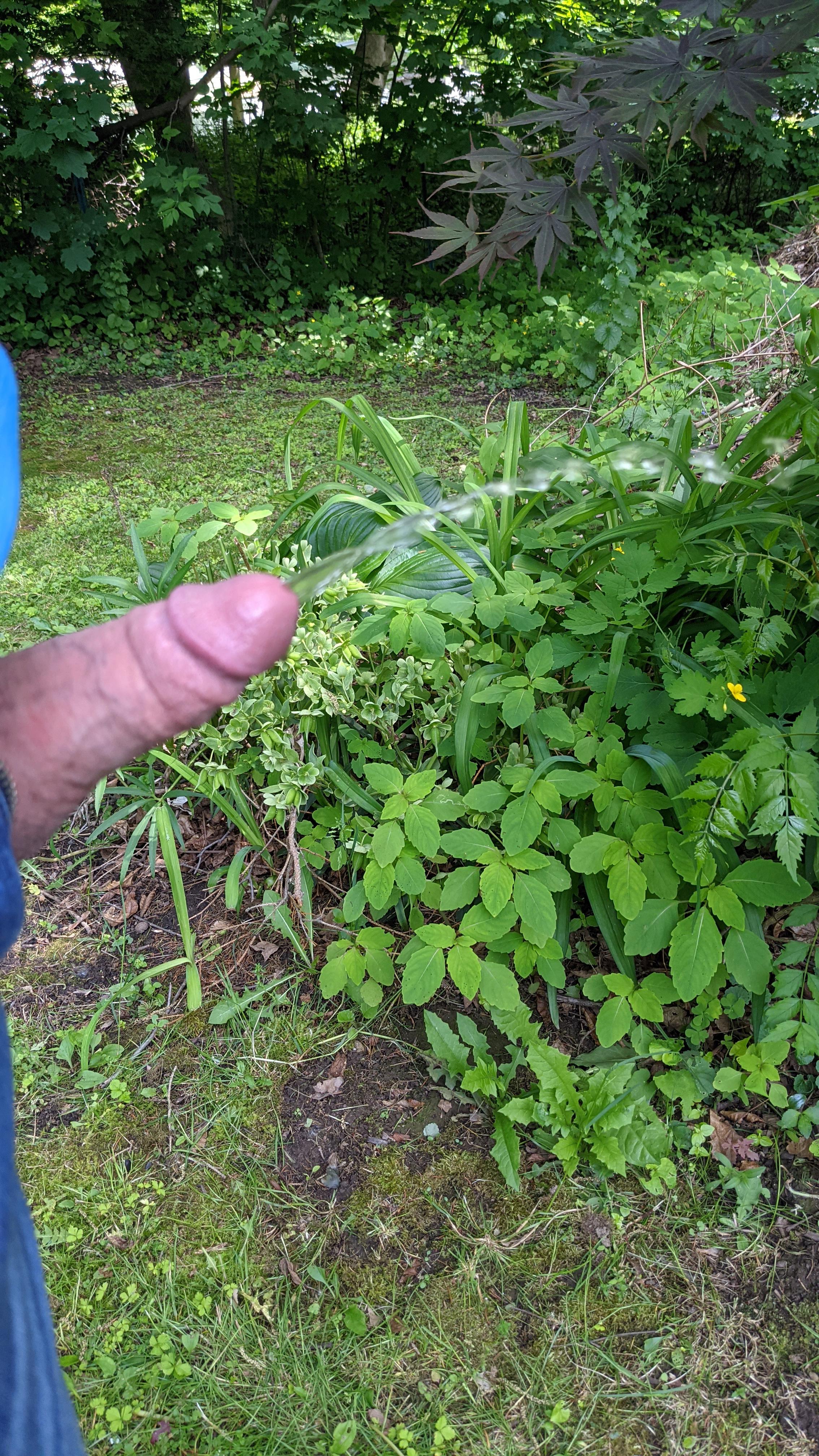 Pissing with a semi outside. Wanna join me? | Scrolller