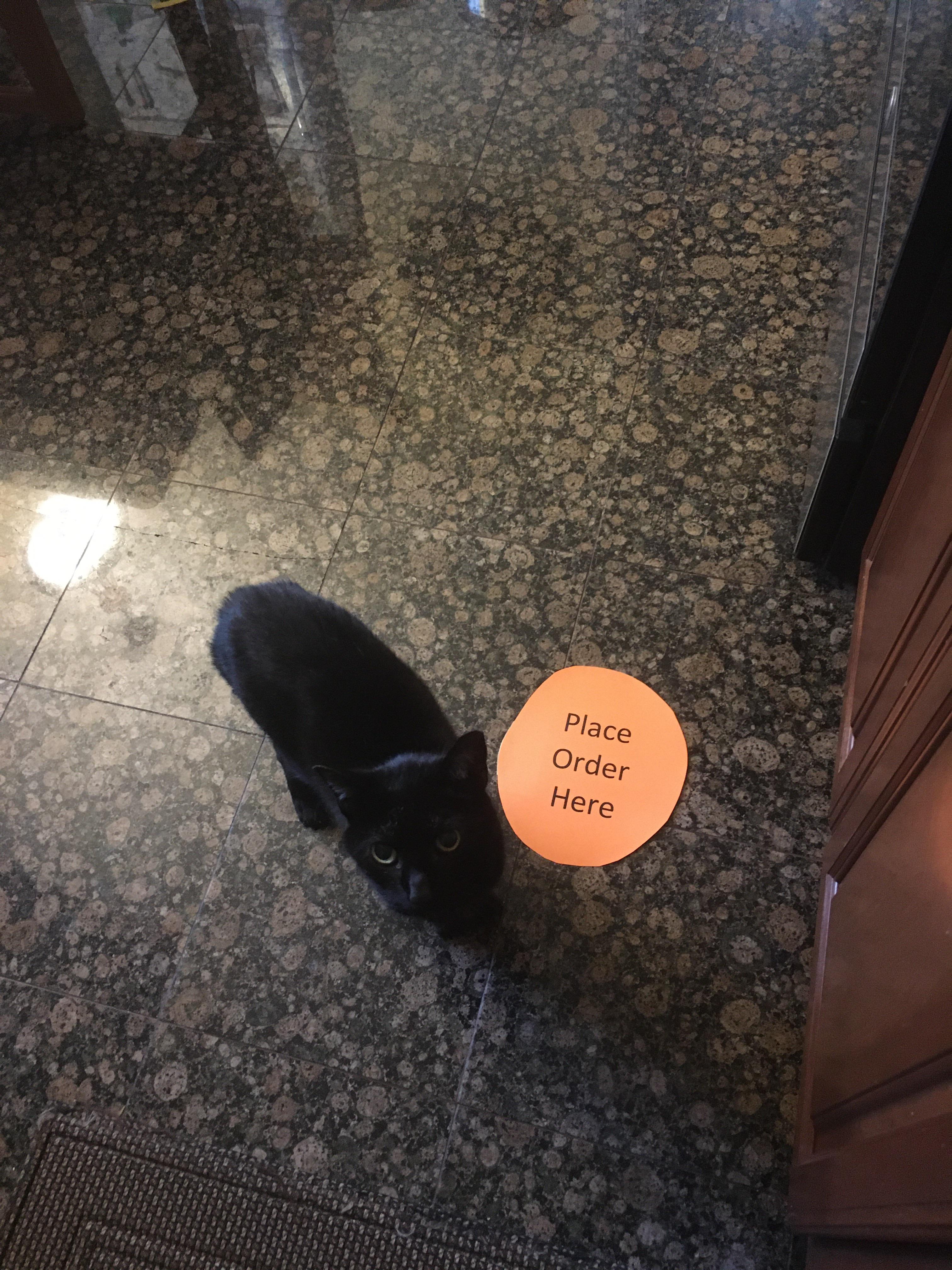 Place Order Here | Scrolller