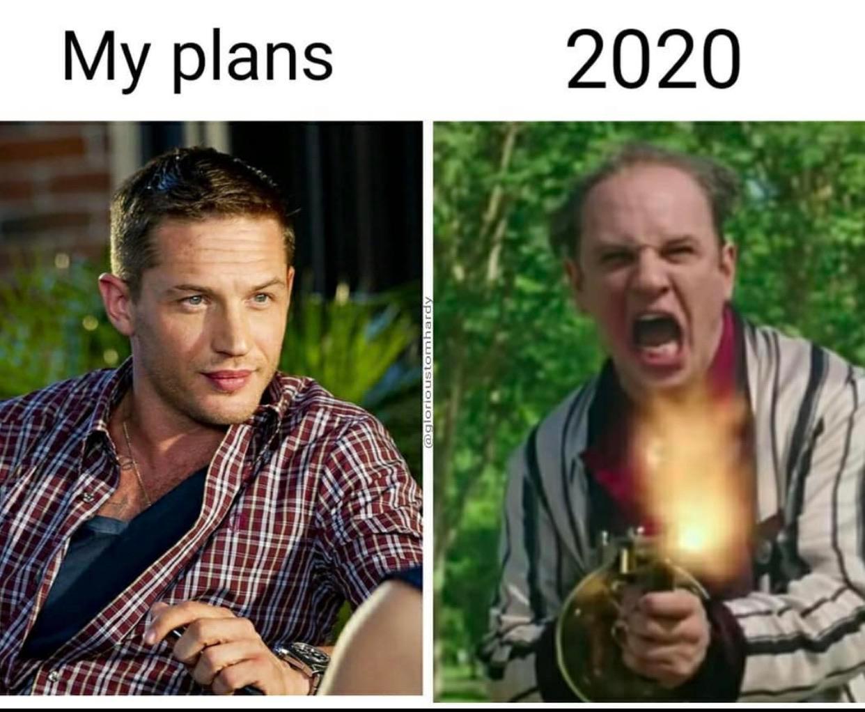 Plans vs. reality: | Scrolller