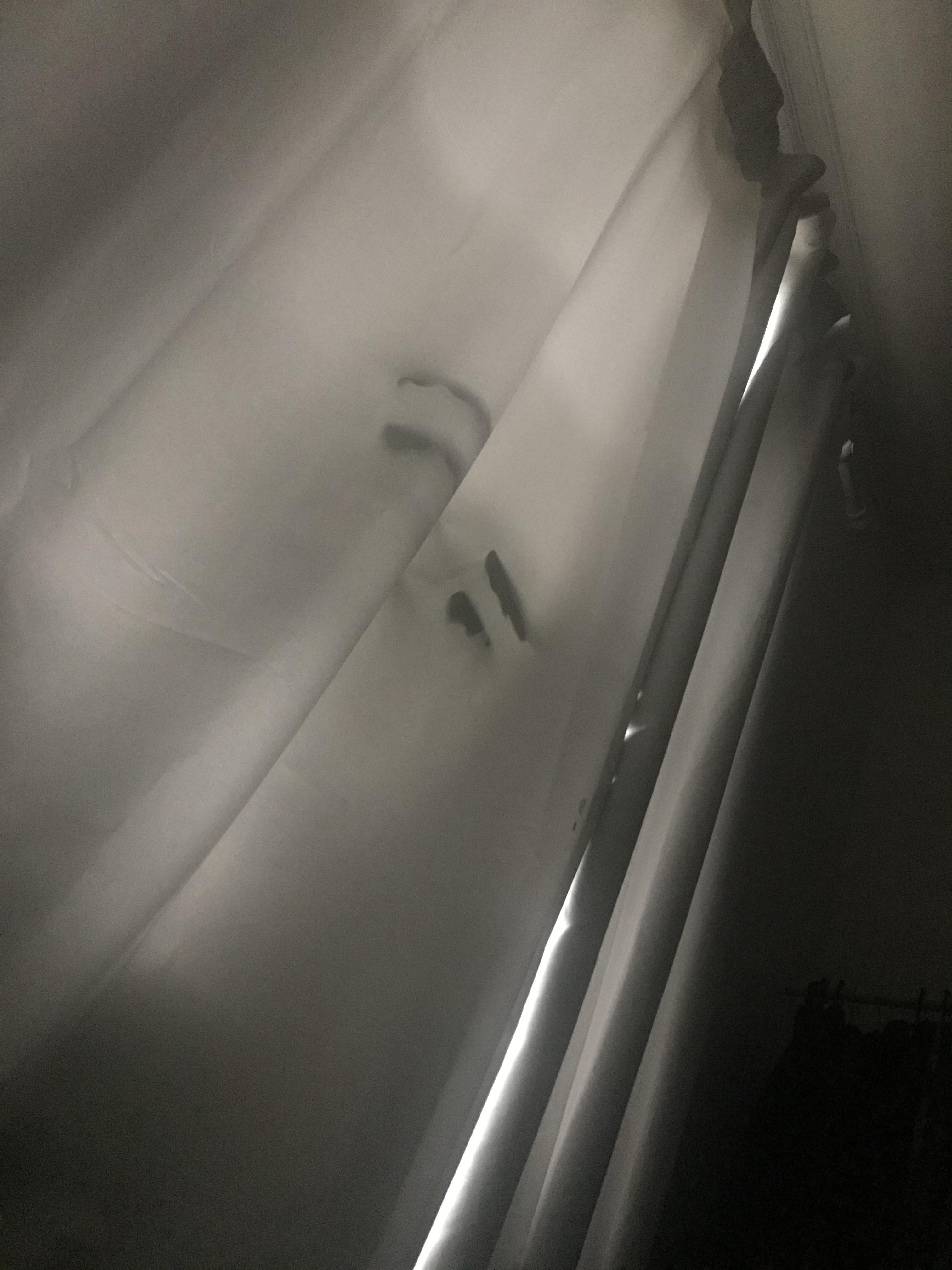 Plant leaves creating eyes on this curtain | Scrolller