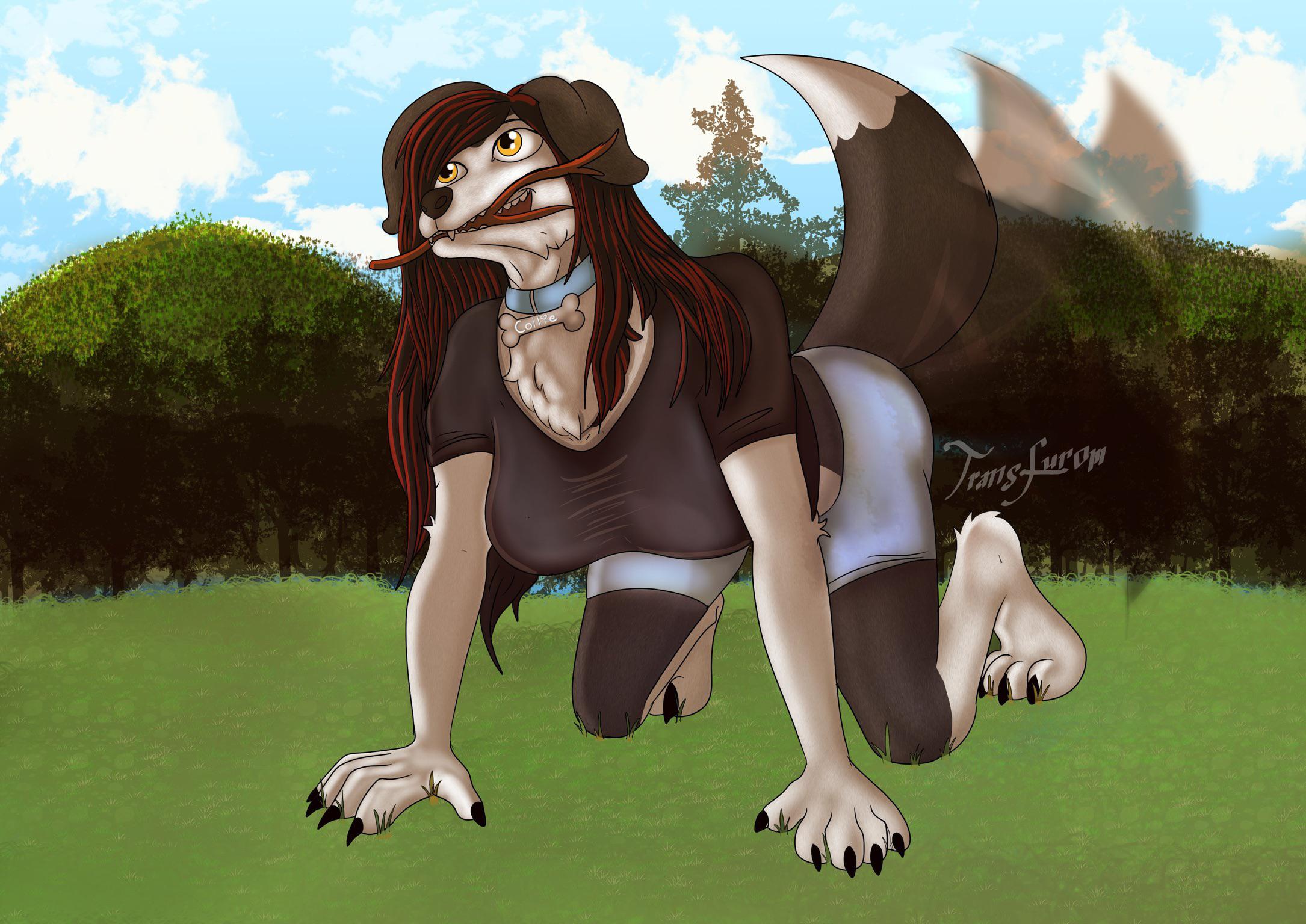 Playing Fetch by Transfurom [F human to anthro dog post tf] Pt. 2 | Scrolller