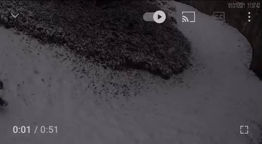 Playing in the snow | Scrolller