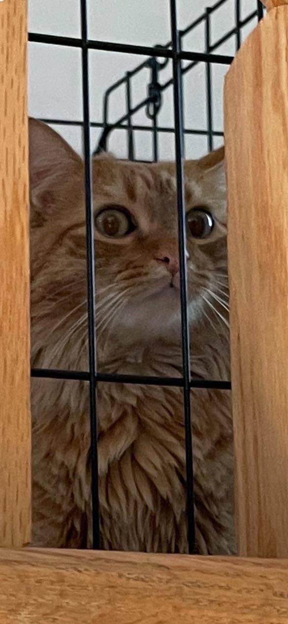 Please caption | Scrolller