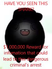 PLEASE CONTACT DETECTIVE WATSON AT 1-800-GROUNDPOUND | Scrolller