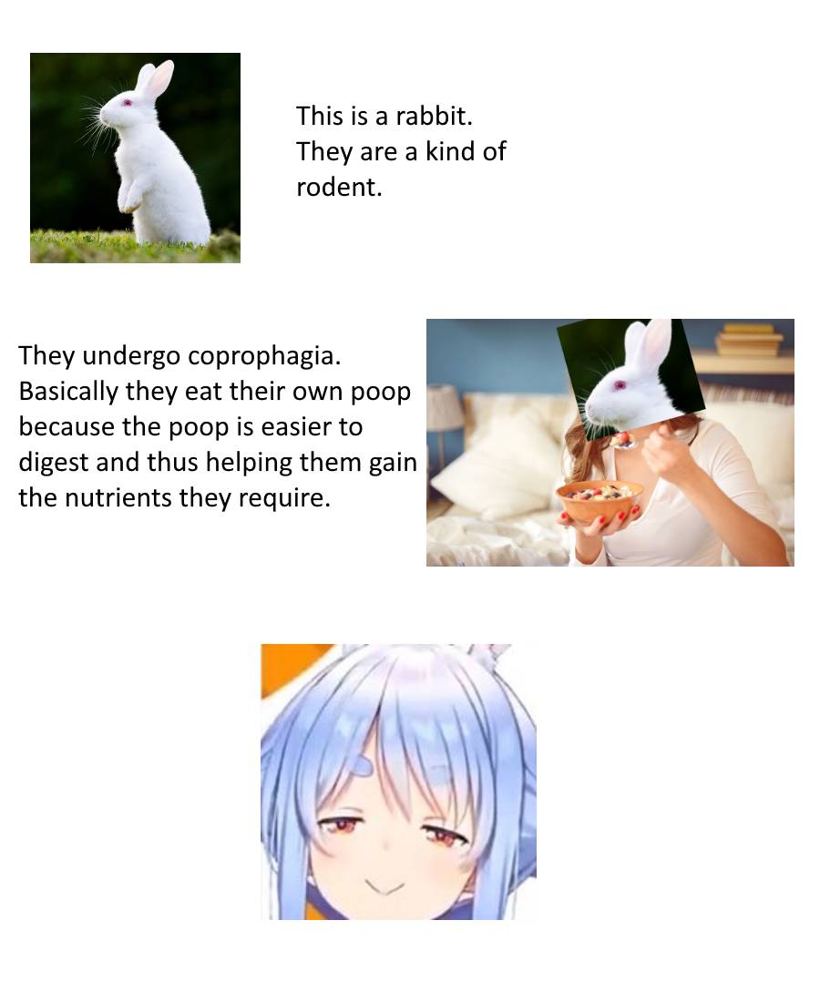 please do not hit me | Scrolller