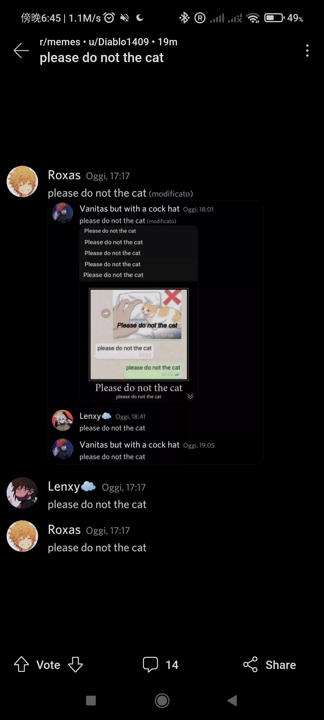 Please do not the cat | Scrolller