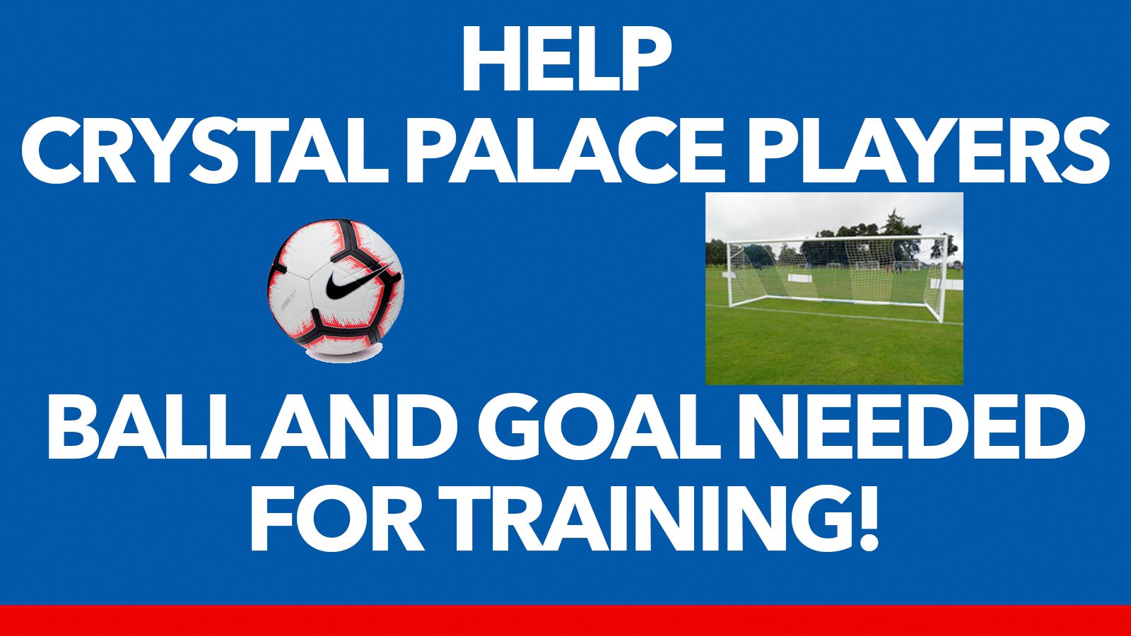 Please donate to help Crystal Palace professional footballers | Scrolller