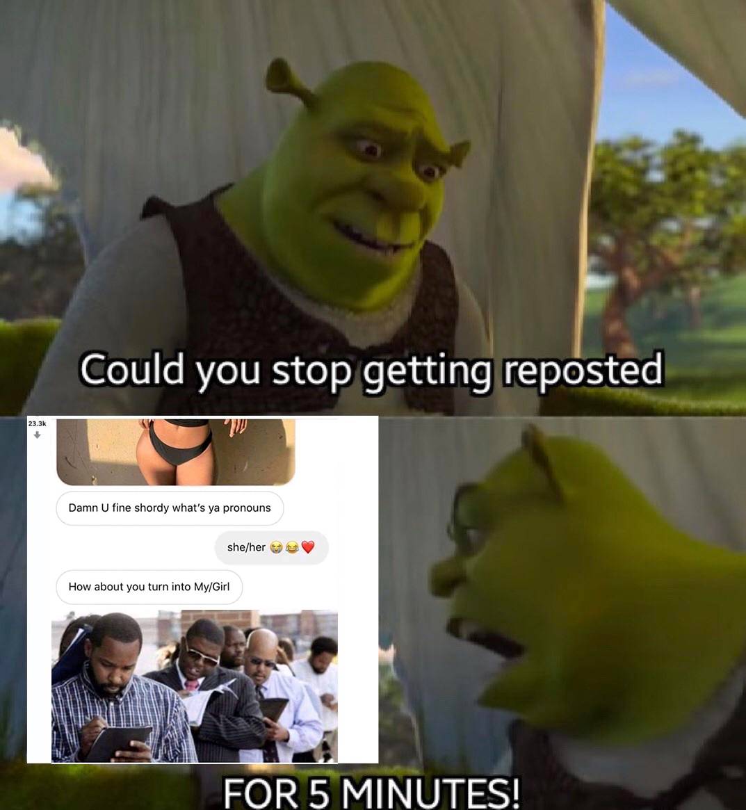 Please, I'm begging | Scrolller