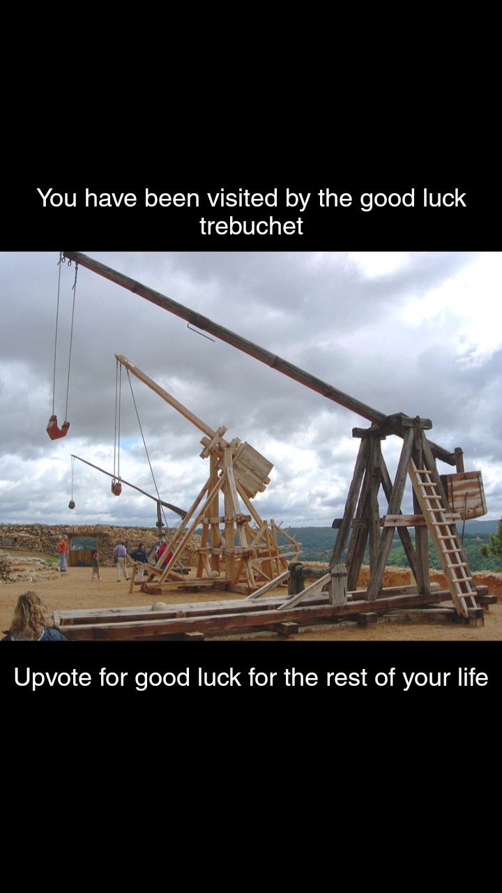 Please I'm begging you | Scrolller