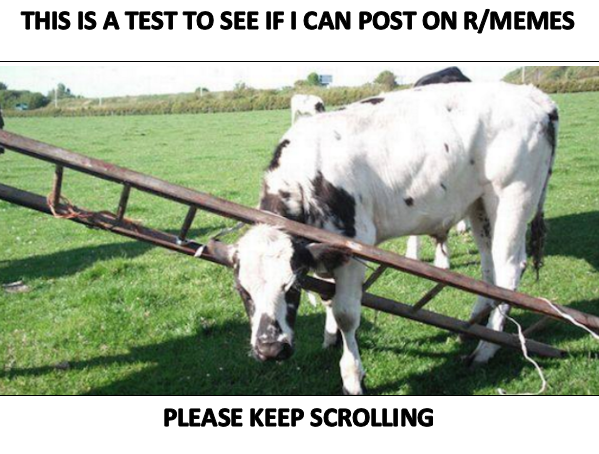 Please Keep Scrolling Scrolller