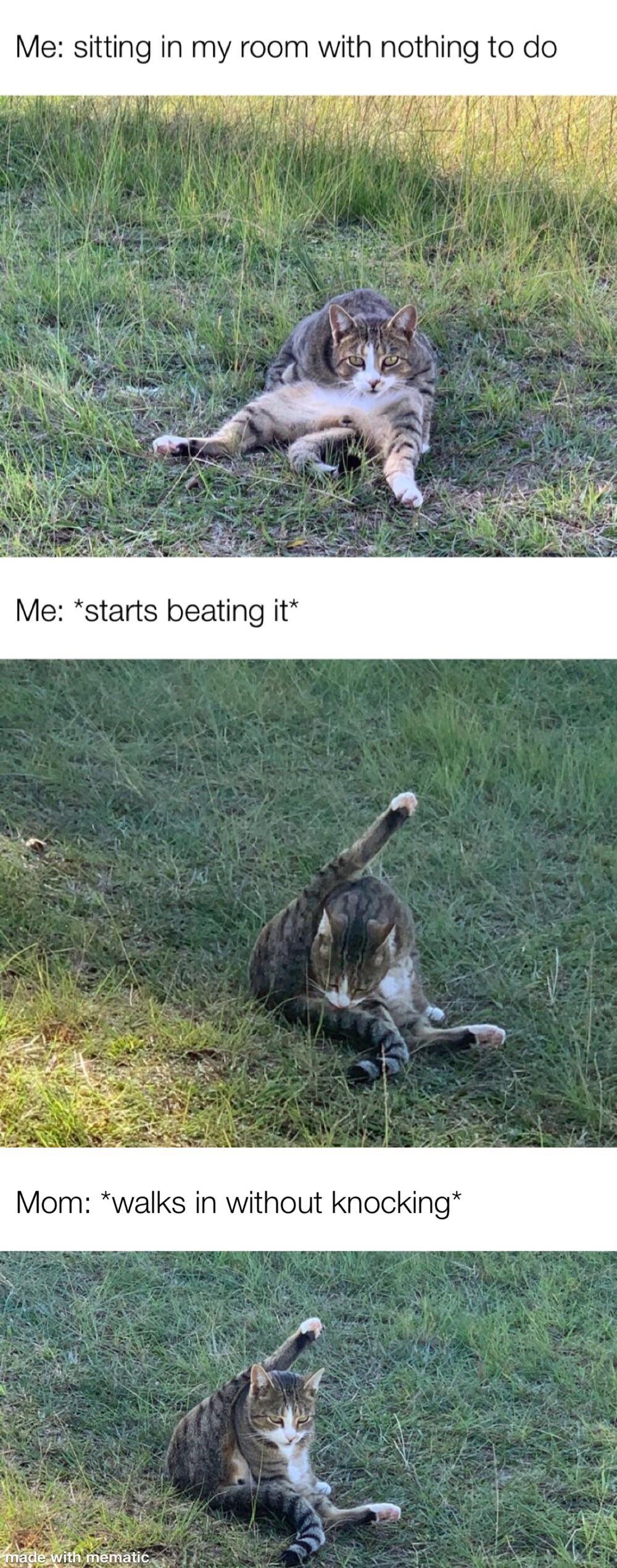 Please knock next time | Scrolller