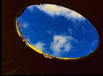 Please let me out of here | Scrolller