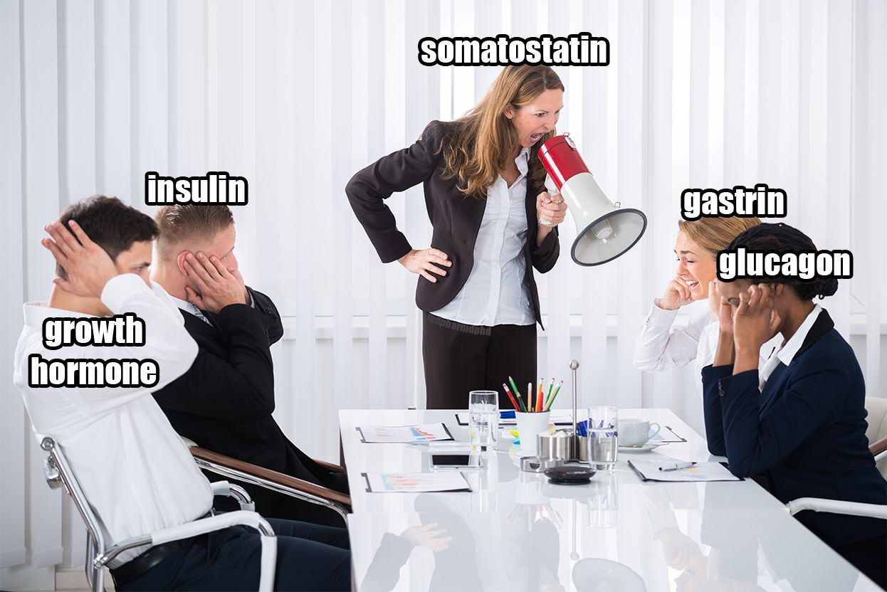 please lower your levels | Scrolller