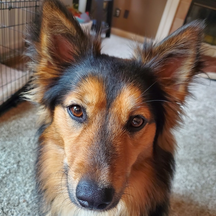 Please play with me | Scrolller