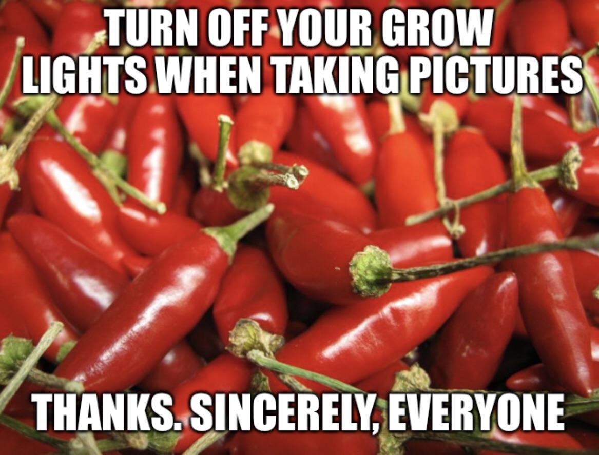 Please stop | Scrolller