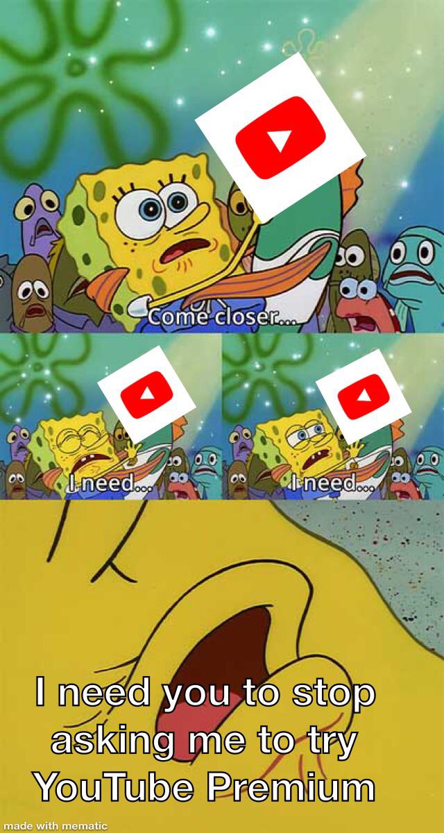 Please stop asking | Scrolller