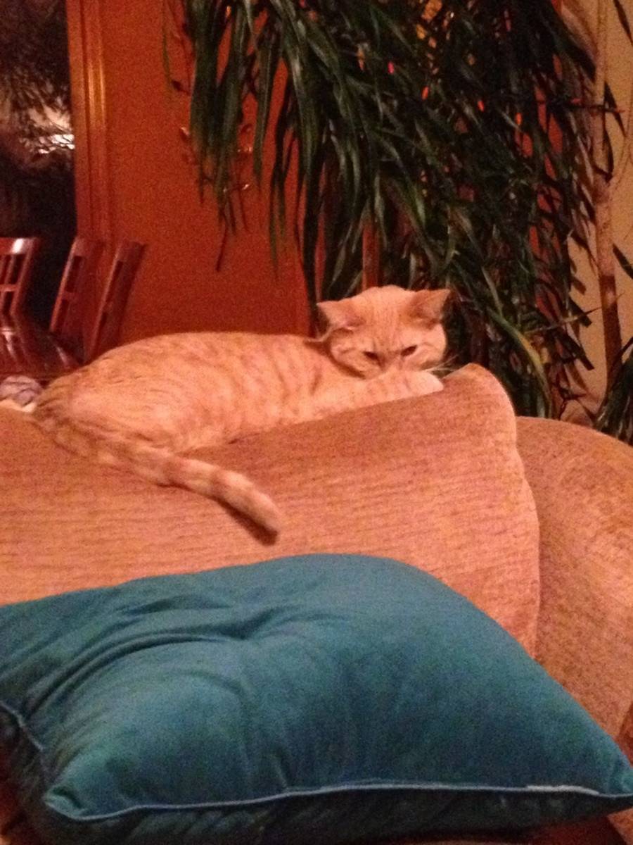 Plotting. | Scrolller