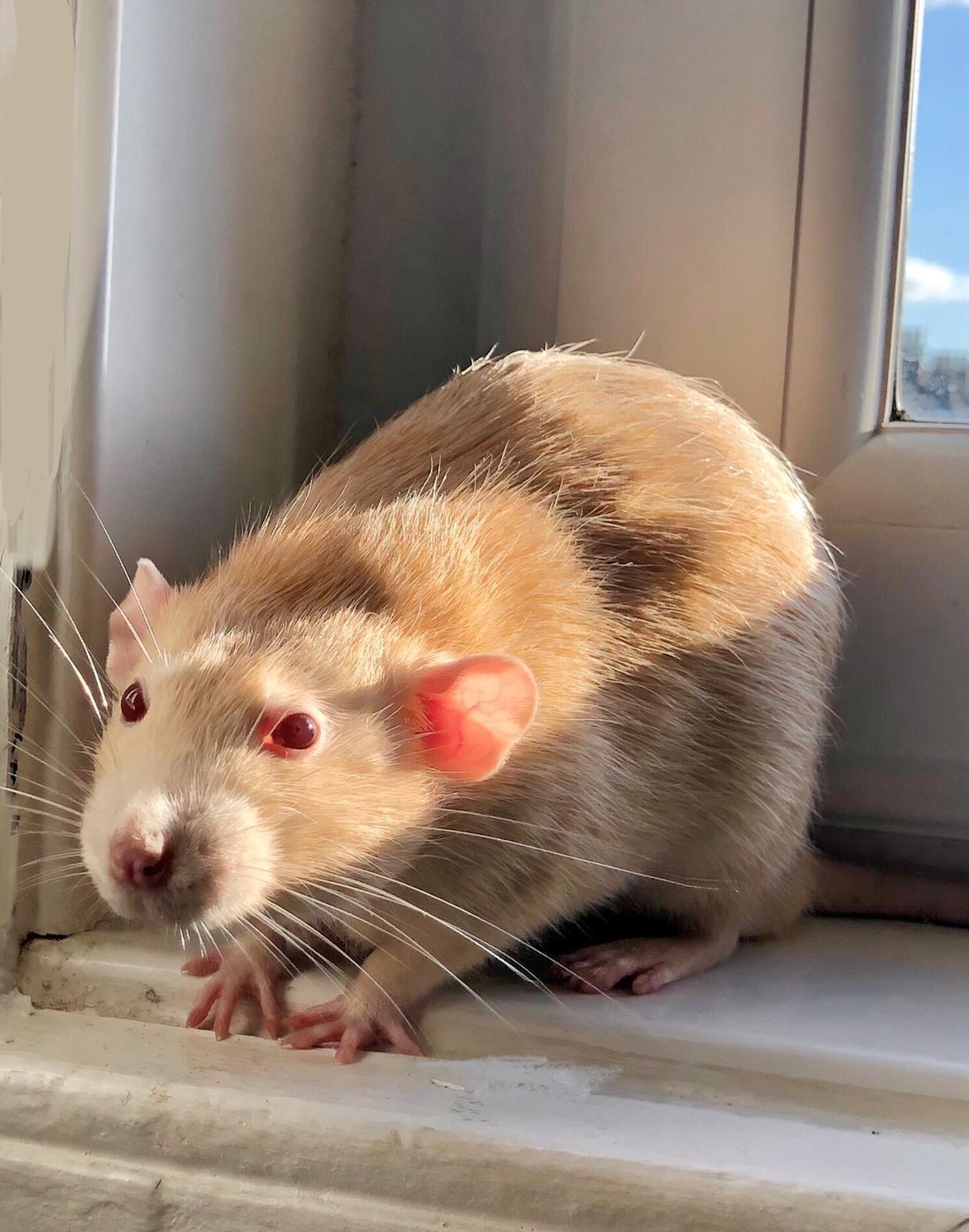 Plotting to kill me? | Scrolller