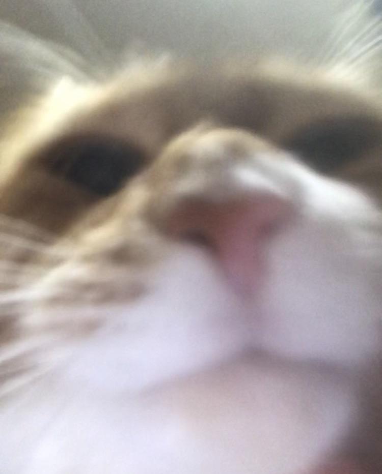 Pls respond | Scrolller