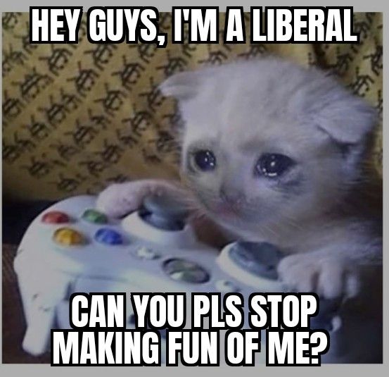 Pls stop 😭😭 | Scrolller