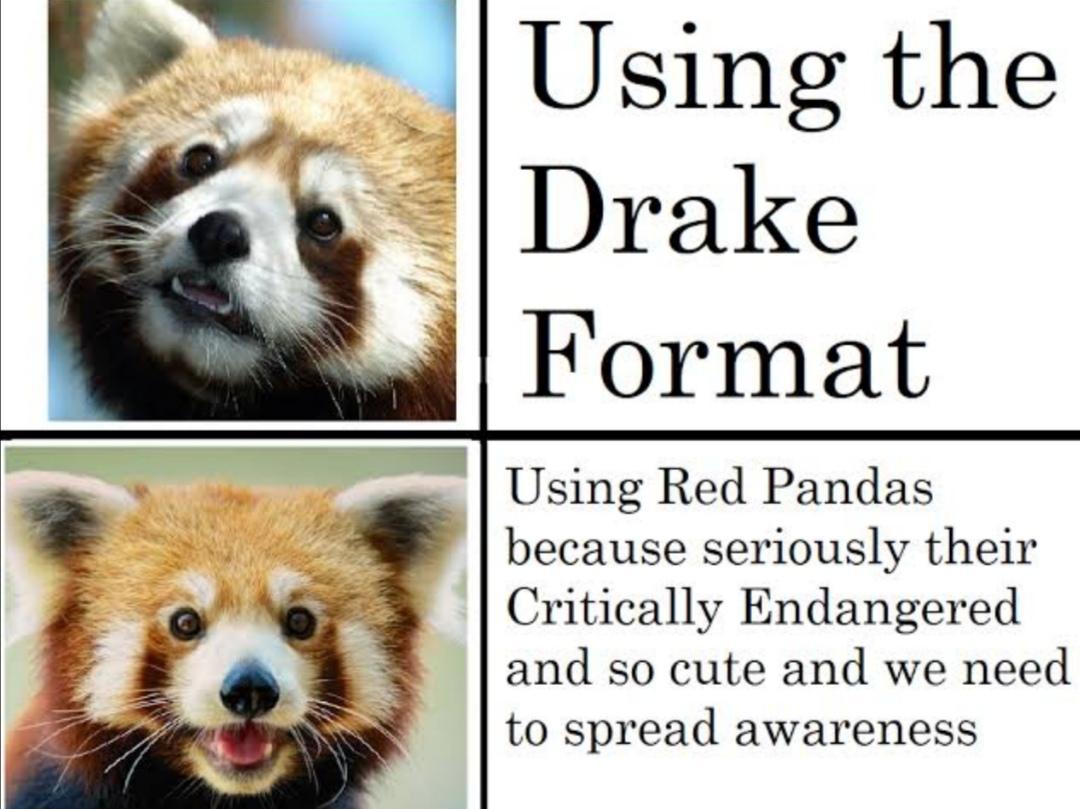 Plus There Cute Af Scrolller