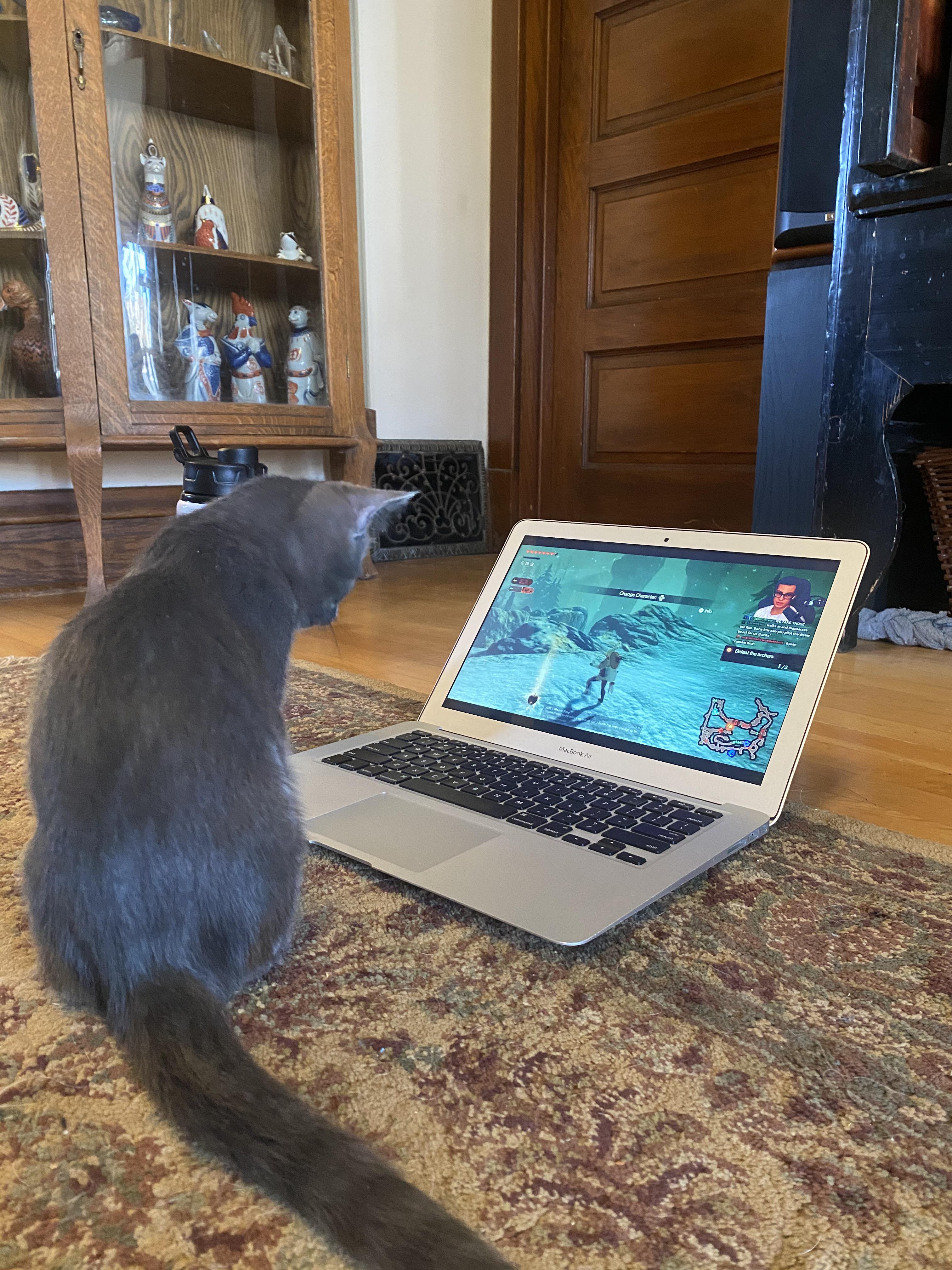 PointCrow’s biggest fan | Scrolller