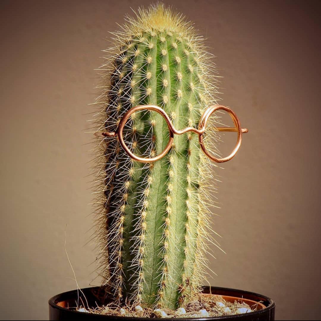 Pointy Peter | Scrolller