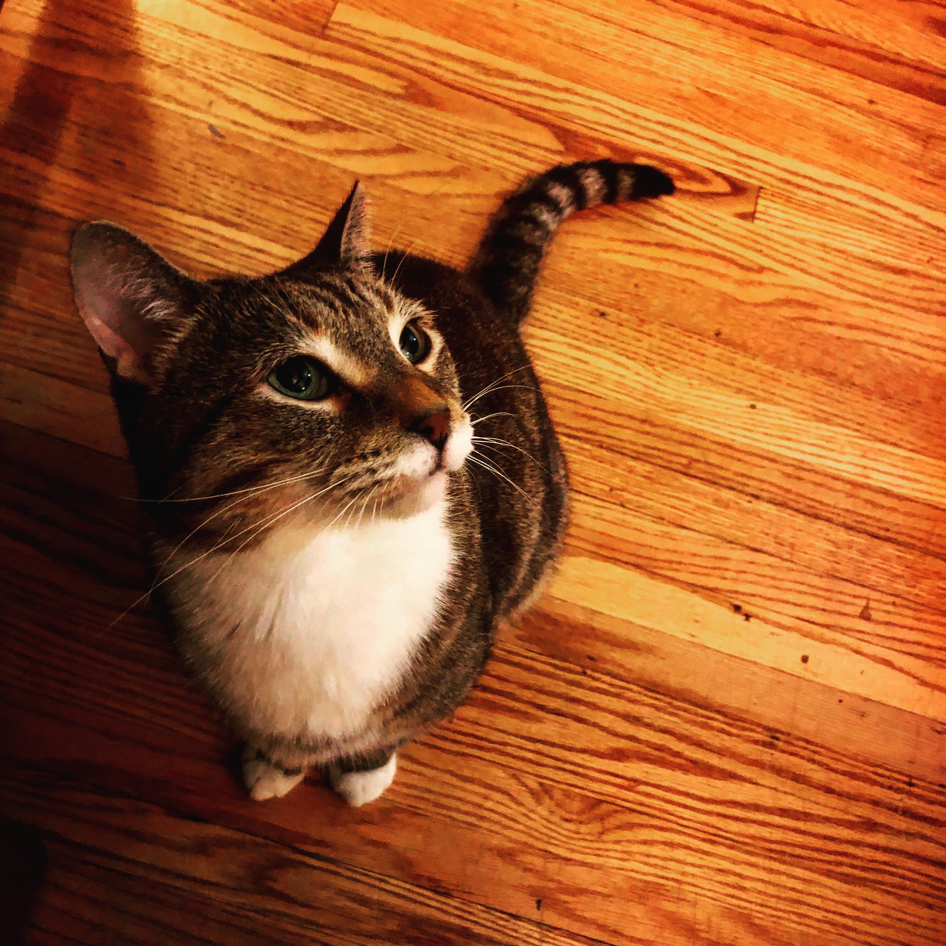 Polite boi | Scrolller