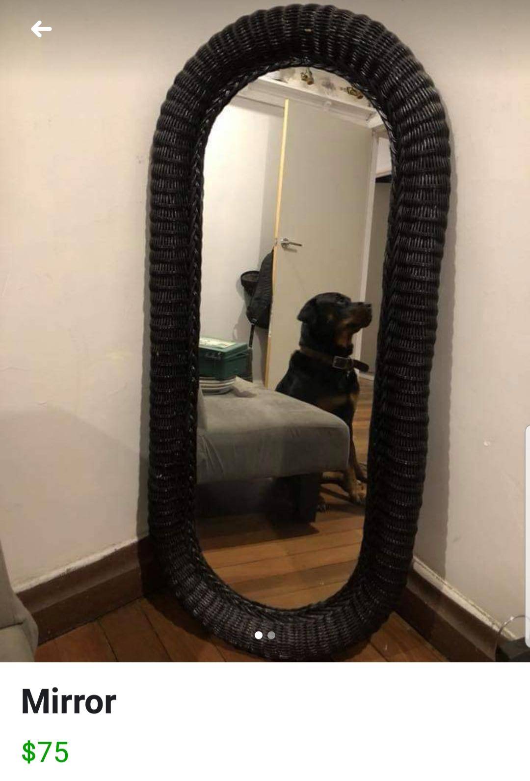 Polite doggo | Scrolller