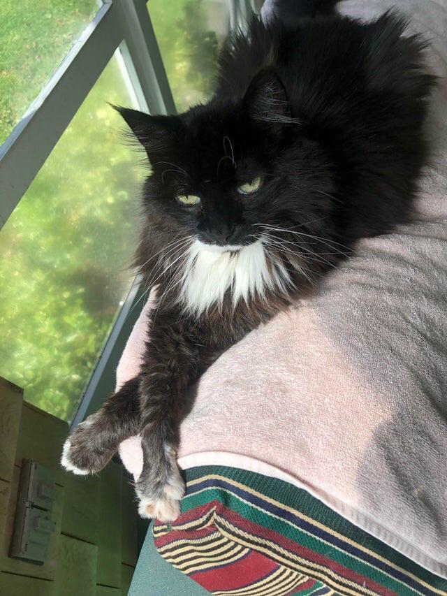 Politely crossed feets in the sunbeam | Scrolller