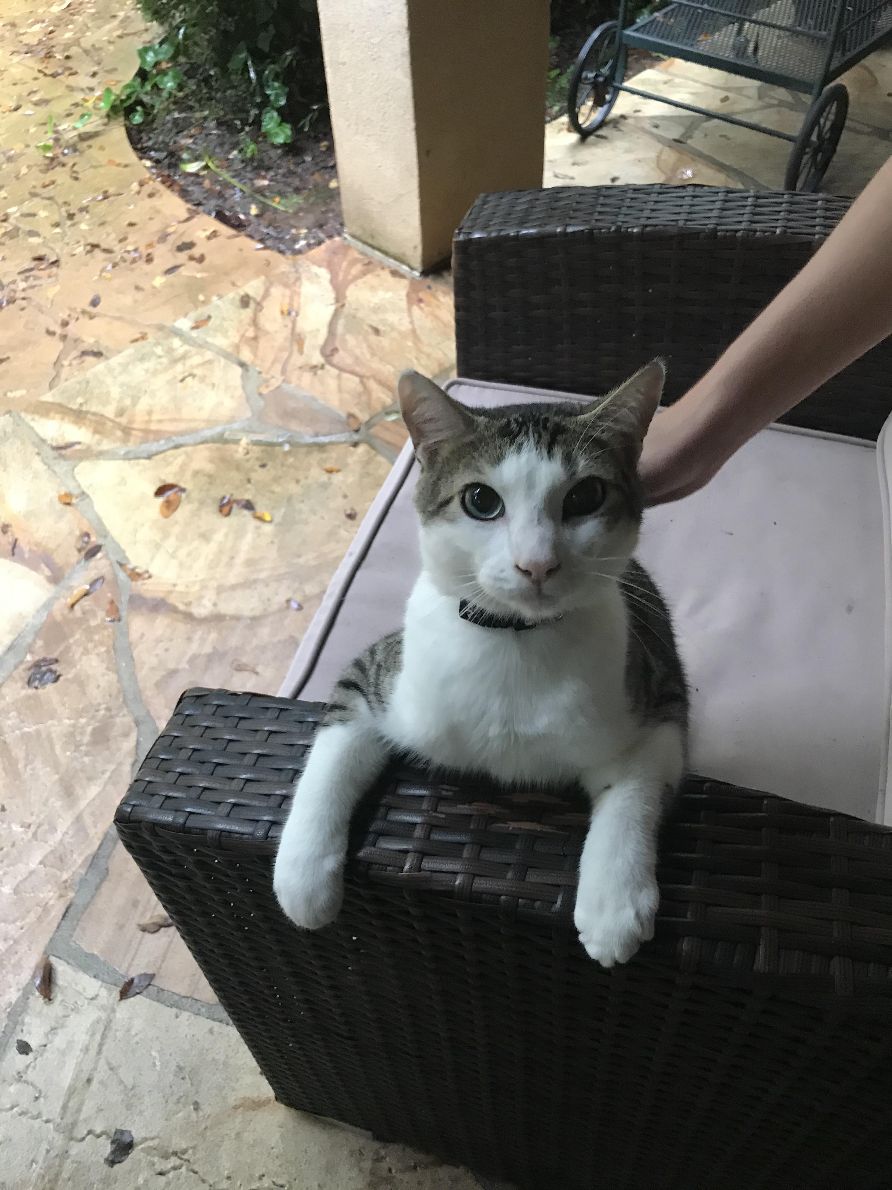 Politely sitting. | Scrolller