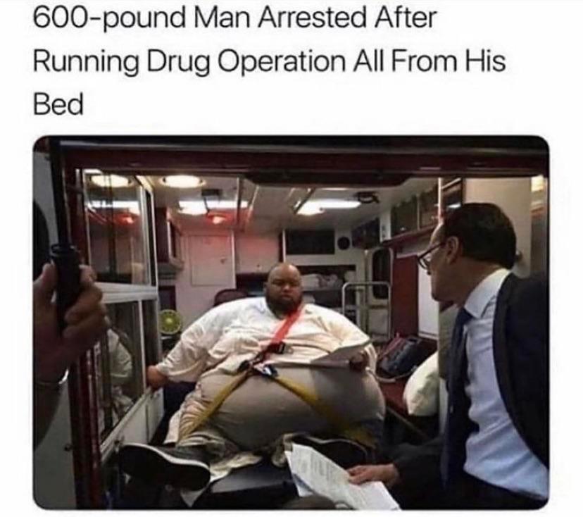 Polpo? Don’t eat any bananas! | Scrolller