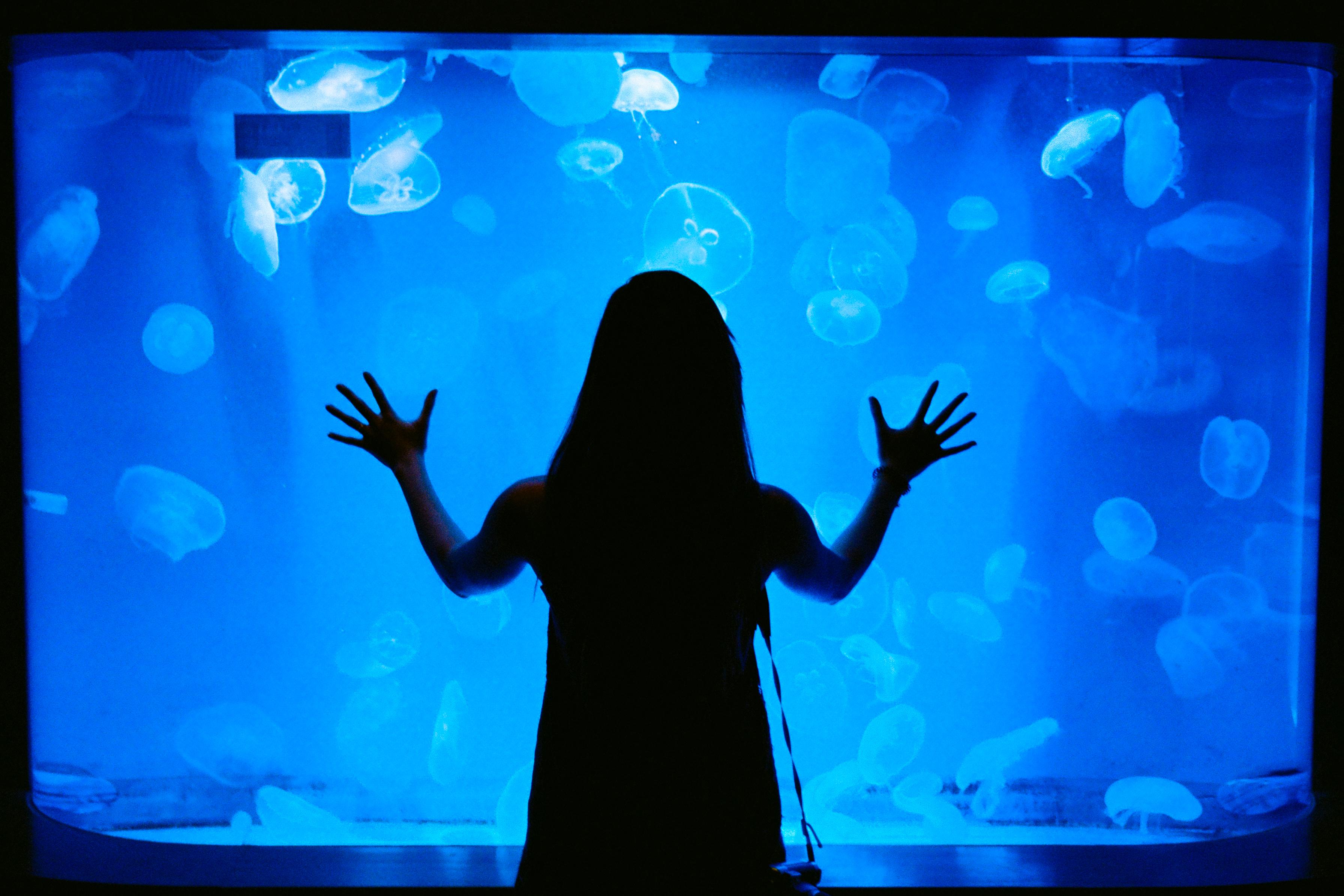 Poltergeist, but with jellies (Nikon F3 | 28-70mm | Portra 400) | Scrolller