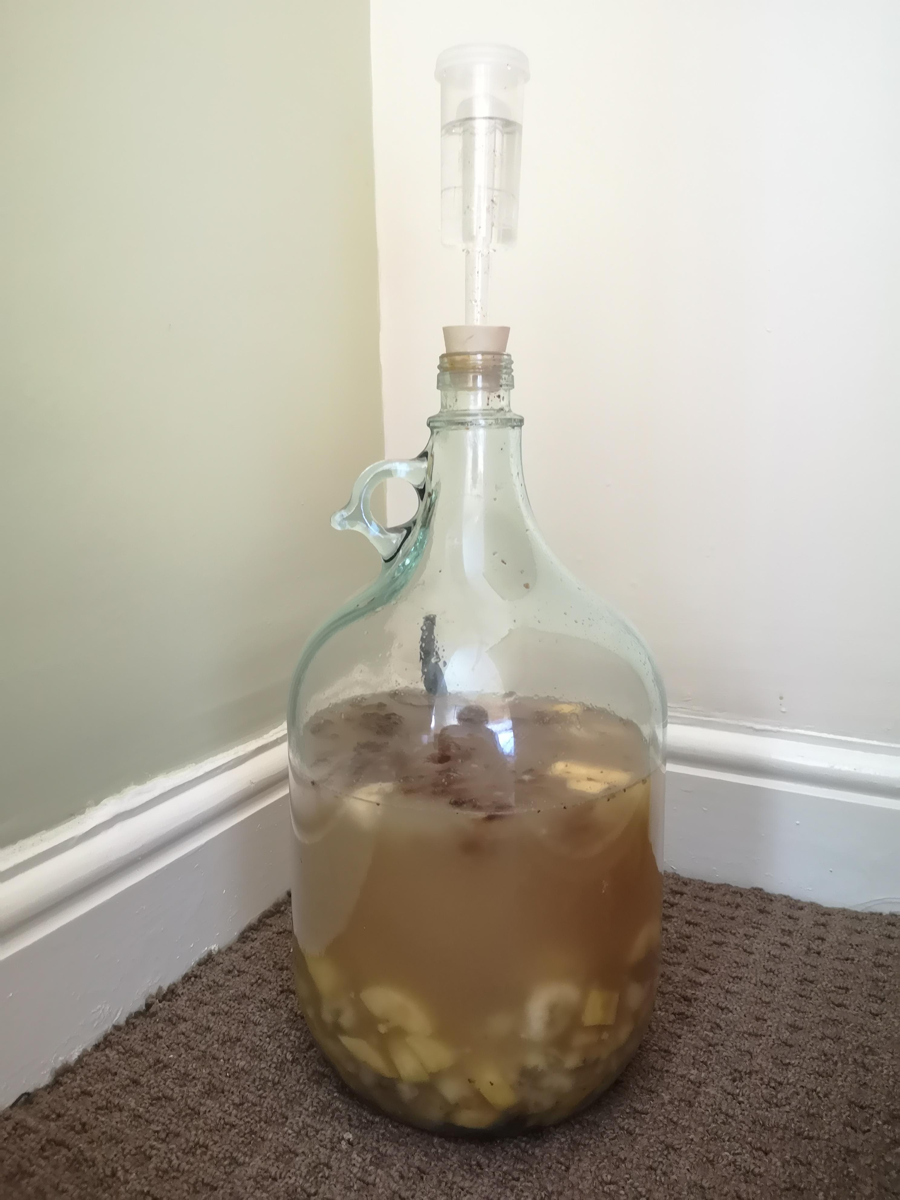 Pombe Ya N'Dizi (Tanzanian plantain and banana wine, flavoured with vanilla pods). Day one of ...