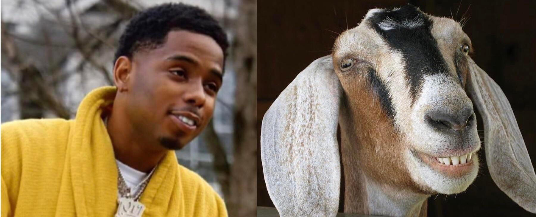 Pooh Shiesty, that's my goat. | Scrolller