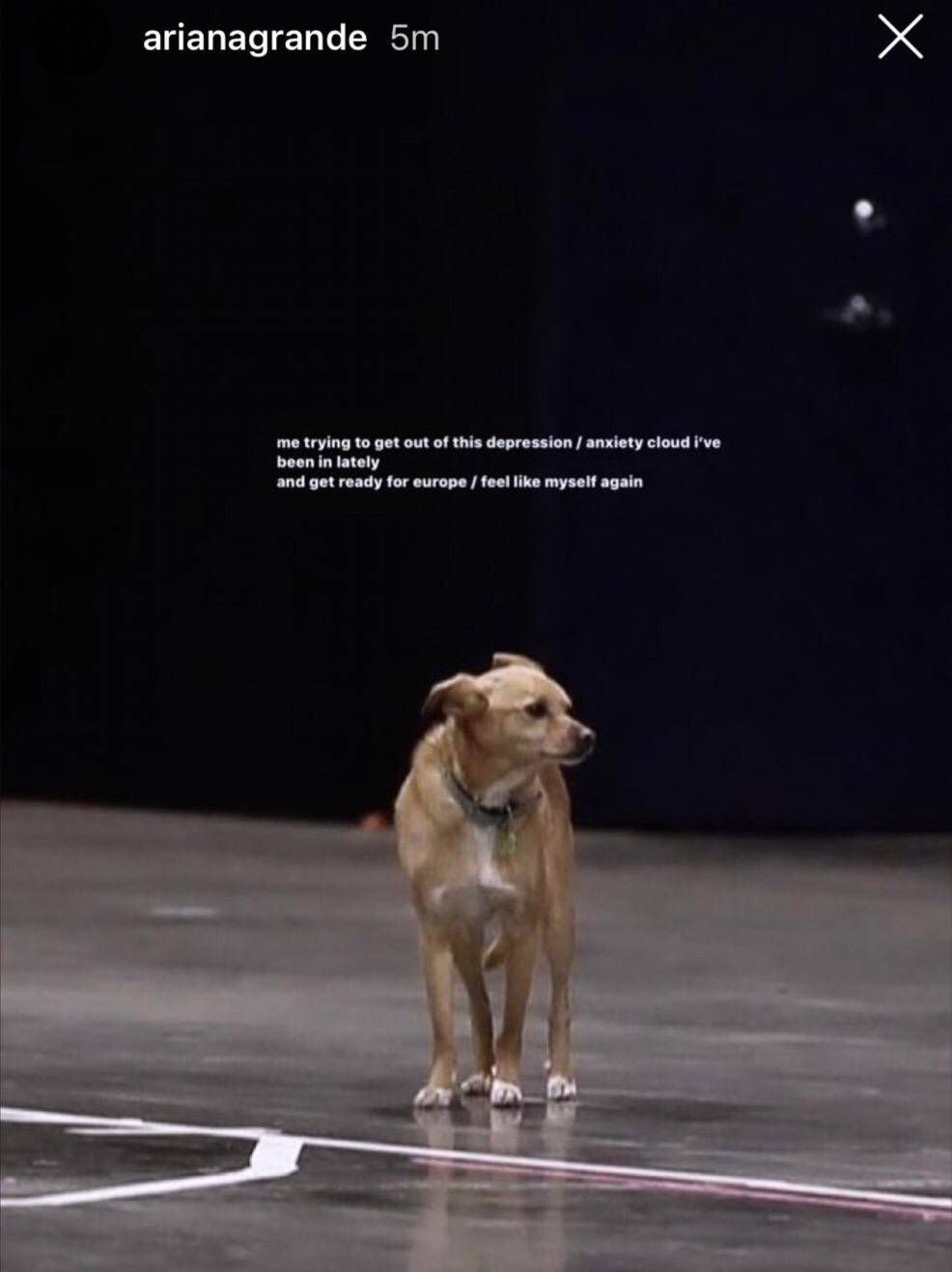 Poor Ari | Scrolller