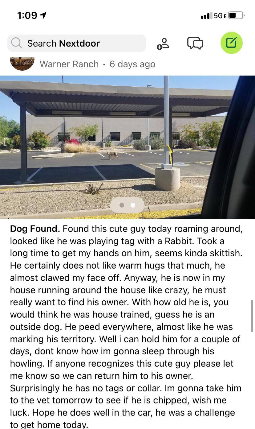 Poor Doggo. Hope he finds his owner soon. | Scrolller